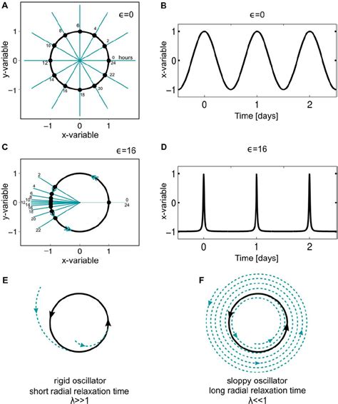 limit cycle representations in phase space for a sinusoidal and
