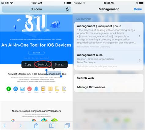 How To Use The Build In Dictionary In IOS And IOS UTools