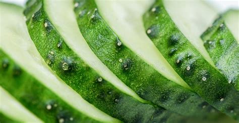 Chopped Cucumber Stock Image Image Of Heap View Closeup 283338443
