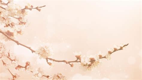 Premium Photo Abstract Spring Background