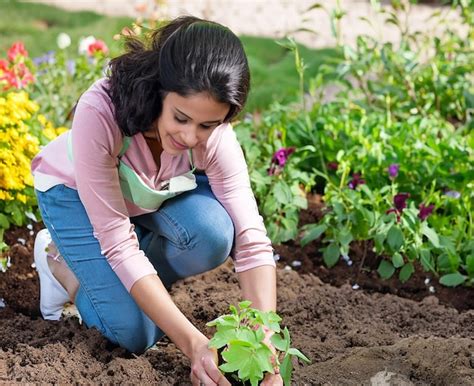 Premium Ai Image A Man And Women Planting A Seedling In A Freshly