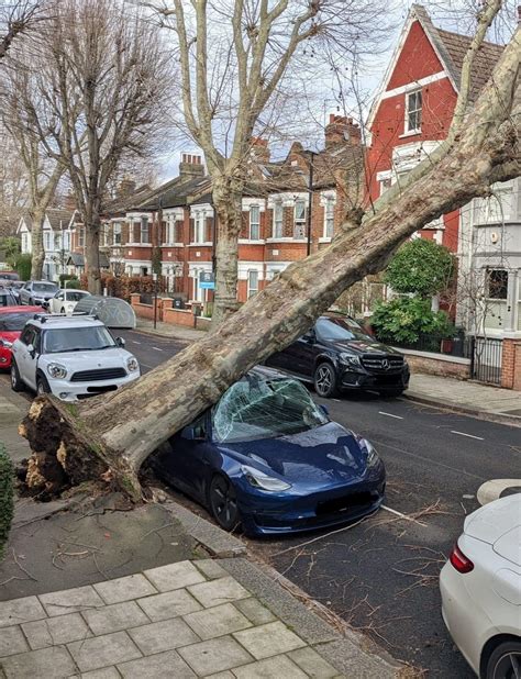 Fuck You Tesla Rfuckyouinparticular