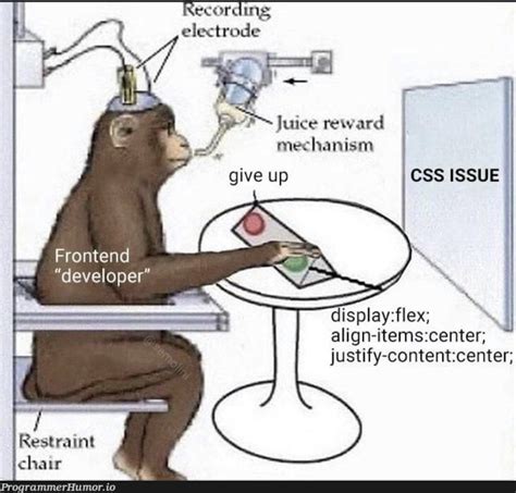 CSS Sucks ProgrammerHumor Io