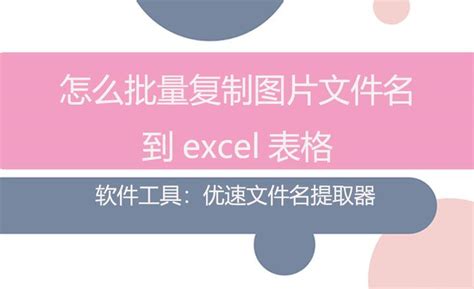 怎么批量复制图片文件名到excel表格 知乎 怎么批量复制图片文件名到excel表格 知乎