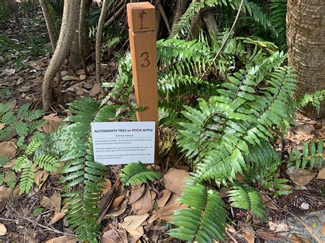 Untitled Toby Gray Flickr