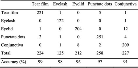 Superficial Punctate Keratitis Grading For Dry Eye Screening Using Deep