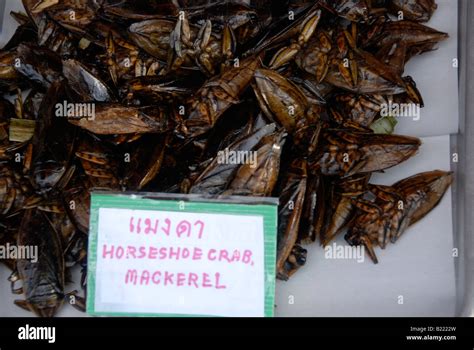 Fried Cockroaches For Sale Chiang Mai Walking Market Thailand Stock