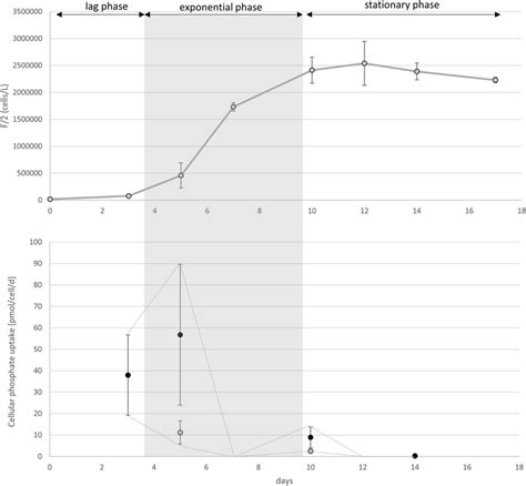 The Dynamics Of Phosphate Uptake Rates For L Hargravesii Throughout