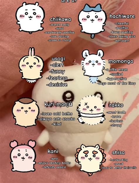 Chiikawa Characters Names Funny Jokes Help Im Bored Cute Stickers