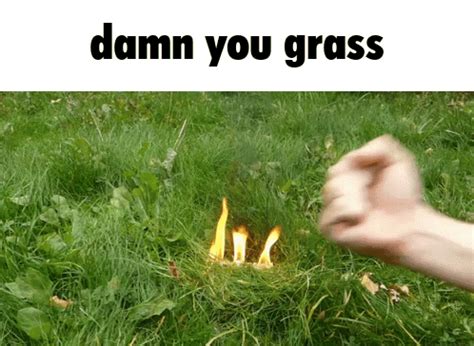 Grass S