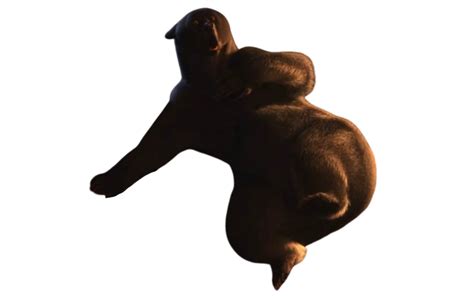 Elenor By Dracoawesomeness On Deviantart