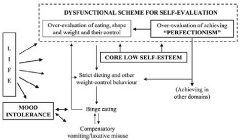 A Schematic Representation Of The Transdiagnostic Download
