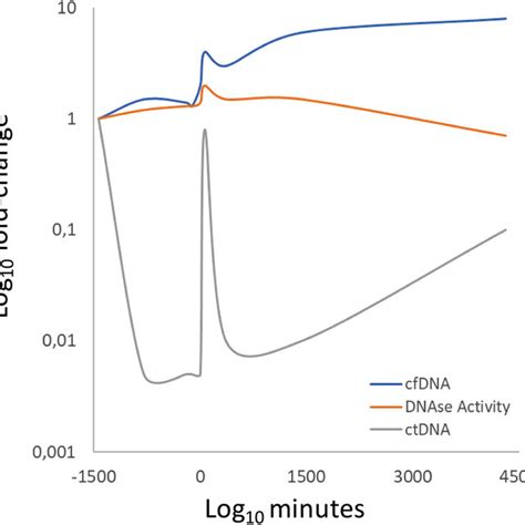 Schematic Course Of Cfdna Dnase Activity In Plasma And Circulating Download Scientific