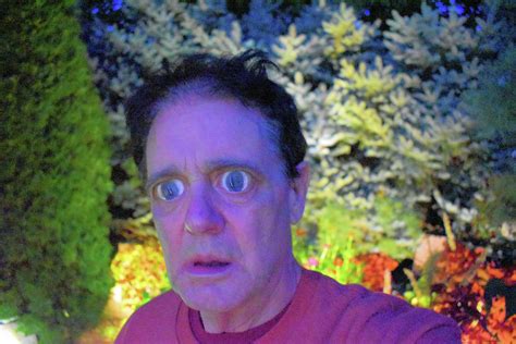 Shane The Ta In Intro Autology Digital Art By John Mccloskey Fine