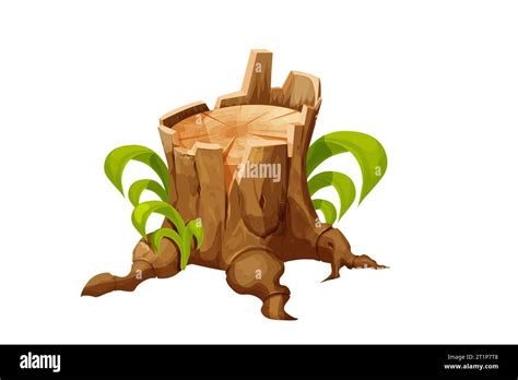 Wooden Stump Forest Tree Trunk With Roots Cut Section In Cartoon Style Isolated Plant Detailed