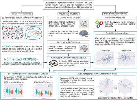 Flow Chart Illustrating Data Analysis Pipeline A Main Components Of Download Scientific
