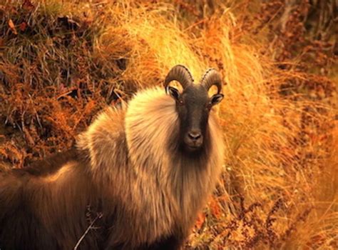 sanjeev kumar yadav l Œil de la photographie magazine