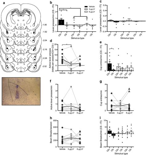 Activation Of Basolateral Amygdala Bla Mglu2 3 Receptors With