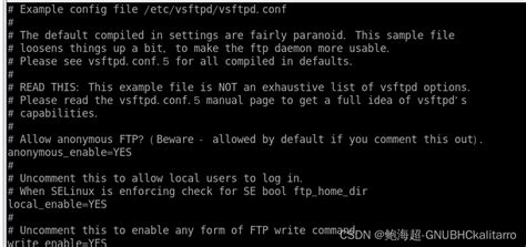 linux：ftp服务 vsftpd linux ftp vsftp使用 csdn博客