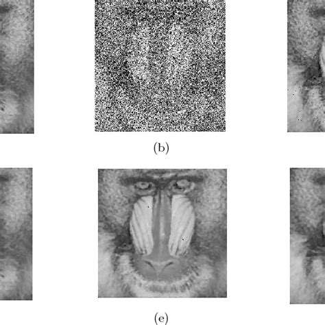 A Original Lena B Lena With 70 Impulse Noise C ¯ltered Lena Download Scientific