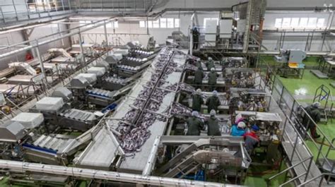 ロシア副首相 択捉島訪問“ギドロストロイ”グループ水産加工場視察 ロシア漁業ニュースヘッドライン