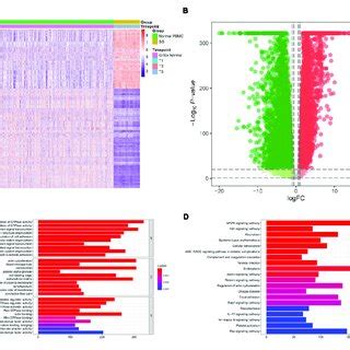 Identification Of Differential Expression Genes DEGs Between 63 Download Scientific Diagram