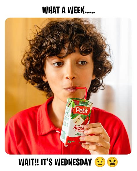 Petit Nectar Petitnectarus • Instagram Photos And Videos