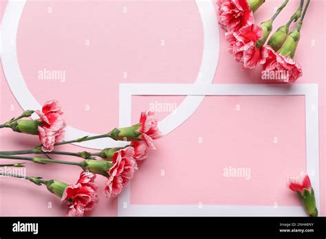 Blank Frames And Beautiful Carnation Flowers On Pink Background Stock
