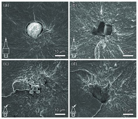 Crack Initiation At Inclusions Under Axial Vhcf Loading A Aluminate Download Scientific
