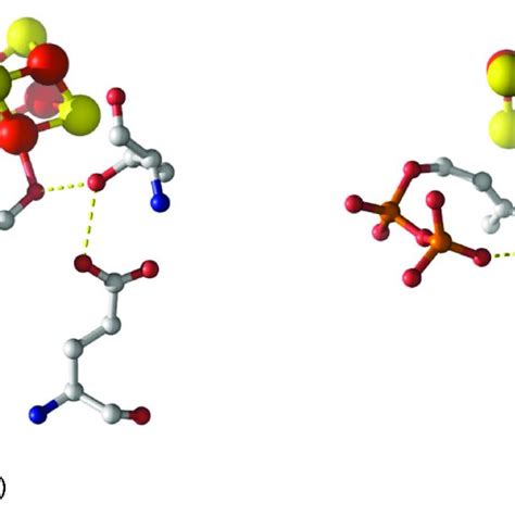 Crystallographic Structures Depicting The Rotation Of The Hydroxymethyl