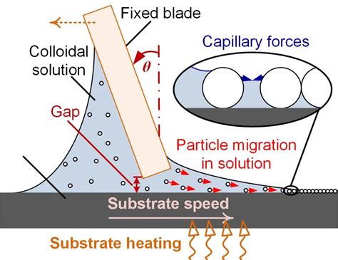 Precision Control Of Nanoparticle Monolayer Assembly Optimizing Rate