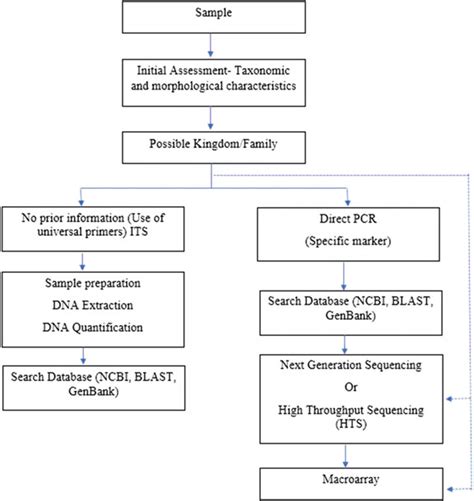 2 Outline Of The Workflow For Dna Barcoding Methods Download Scientific Diagram