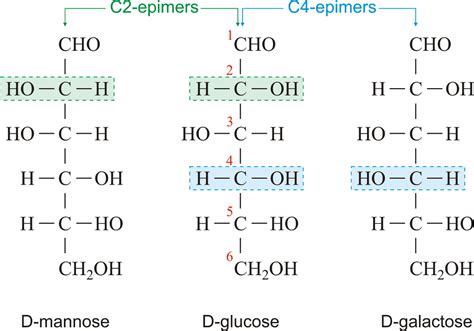 Solved Please Explain How I Can Tell If A Molecule Is A C 2
