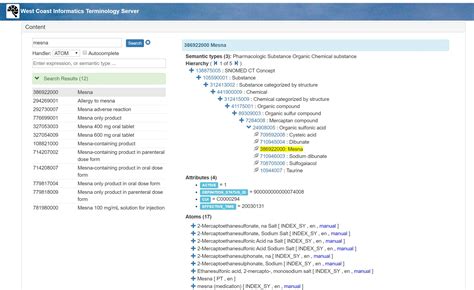 WCI Terminology Server Application Screenshot