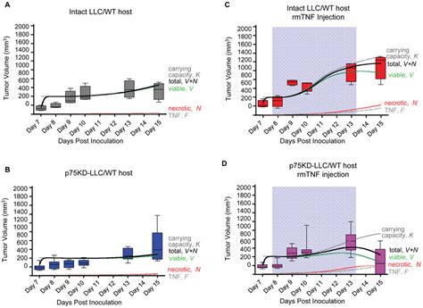 Numerical Simulation Results Of The Mathematical Model Total Tumor