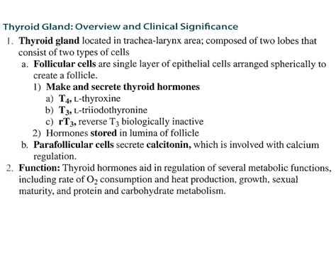 Thyroid Hormones Asadadfdegv Thyroid Hormone Synthesis Thyroid