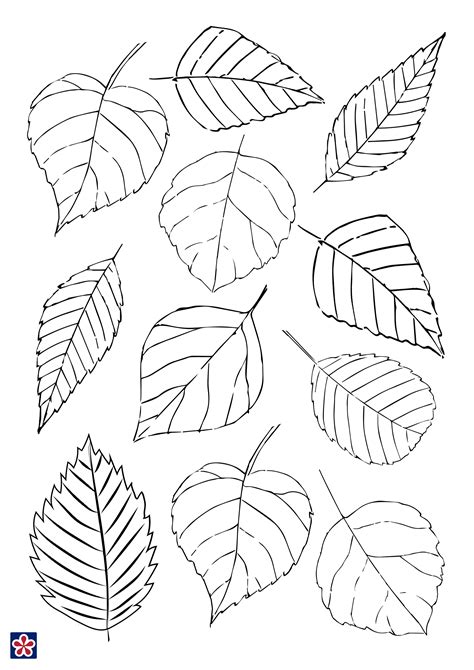 Printable Fall Leaf Patterns Ataglance Printable Calendar