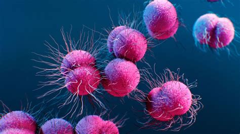 Why Are Sexually Transmitted Infections On The Rise In The Us Live