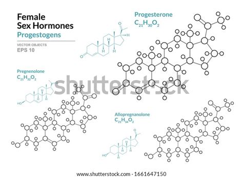 Female Endocrinology Photos Images And Pictures Shutterstock