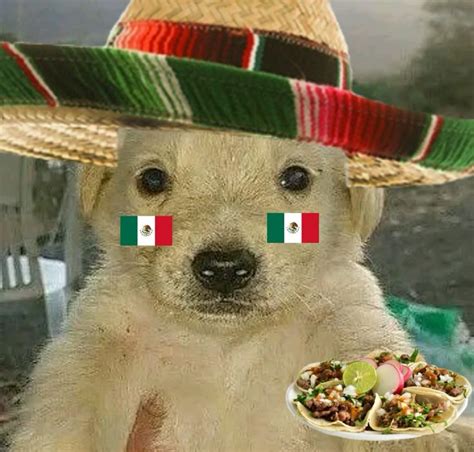 Jotchua Mexicano Humor De Animales Perrito Animales