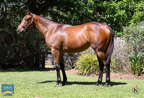 Russian Revolution X Crimson And Clover Stridyl