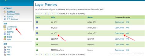 使用geoserver发布tif栅格地图并使用openlayers加载openlayers 栅格底图 Csdn博客