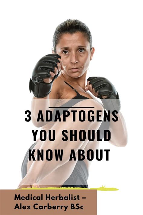 Alex Carberry Buymeacoffee