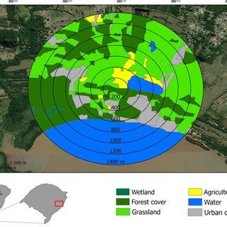 Landscape Fragments Where Primates Were Captured Using Buffers With