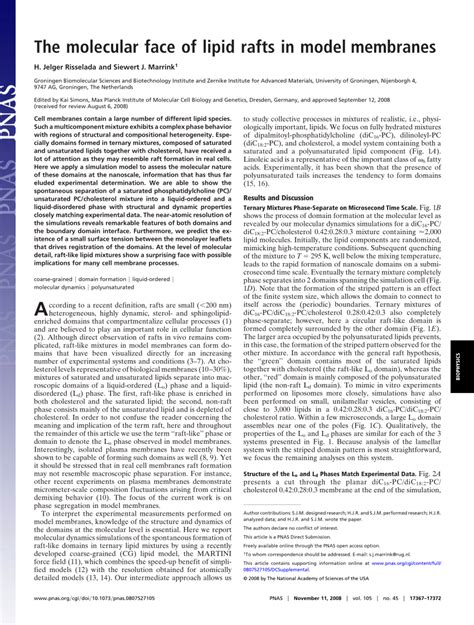 PDF The Molecular Face Of Lipid Rafts In Model Membranes