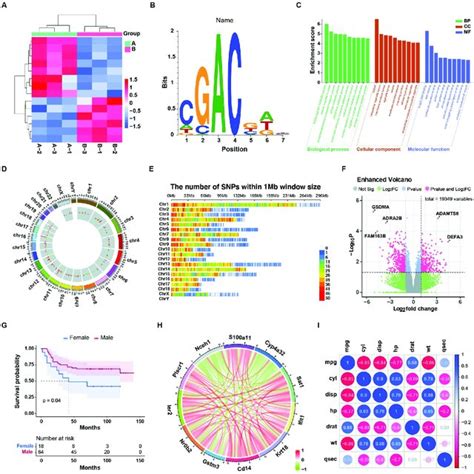 Workflow Of Srplot 10 1371 Journal Pone 0294236 G001 Download Scientific Diagram