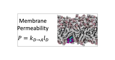 Our Permeability Paper Is Out She Zhang