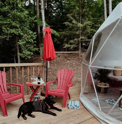 About Us — Tiny Village Bon Echo