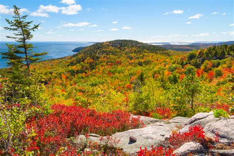 Maine In The Fall Hikes Lighthouses And Drives Camden Harbour Inn