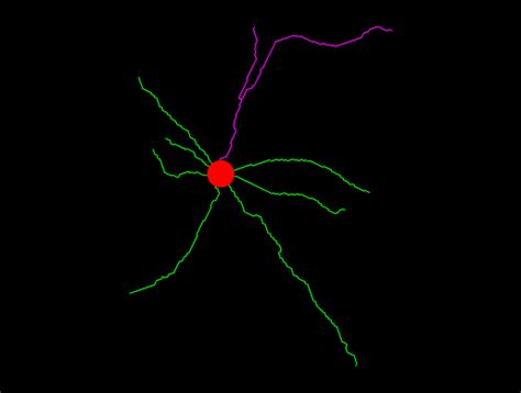 Detailed Cell Information M273section2image4gfpneuron3trace